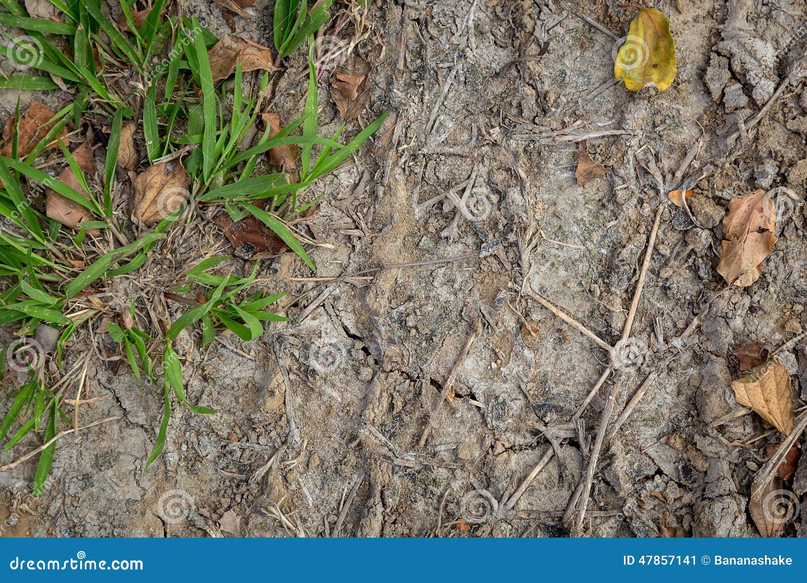 Land texture with grass stock image. Image of dirt, rough - 47857141