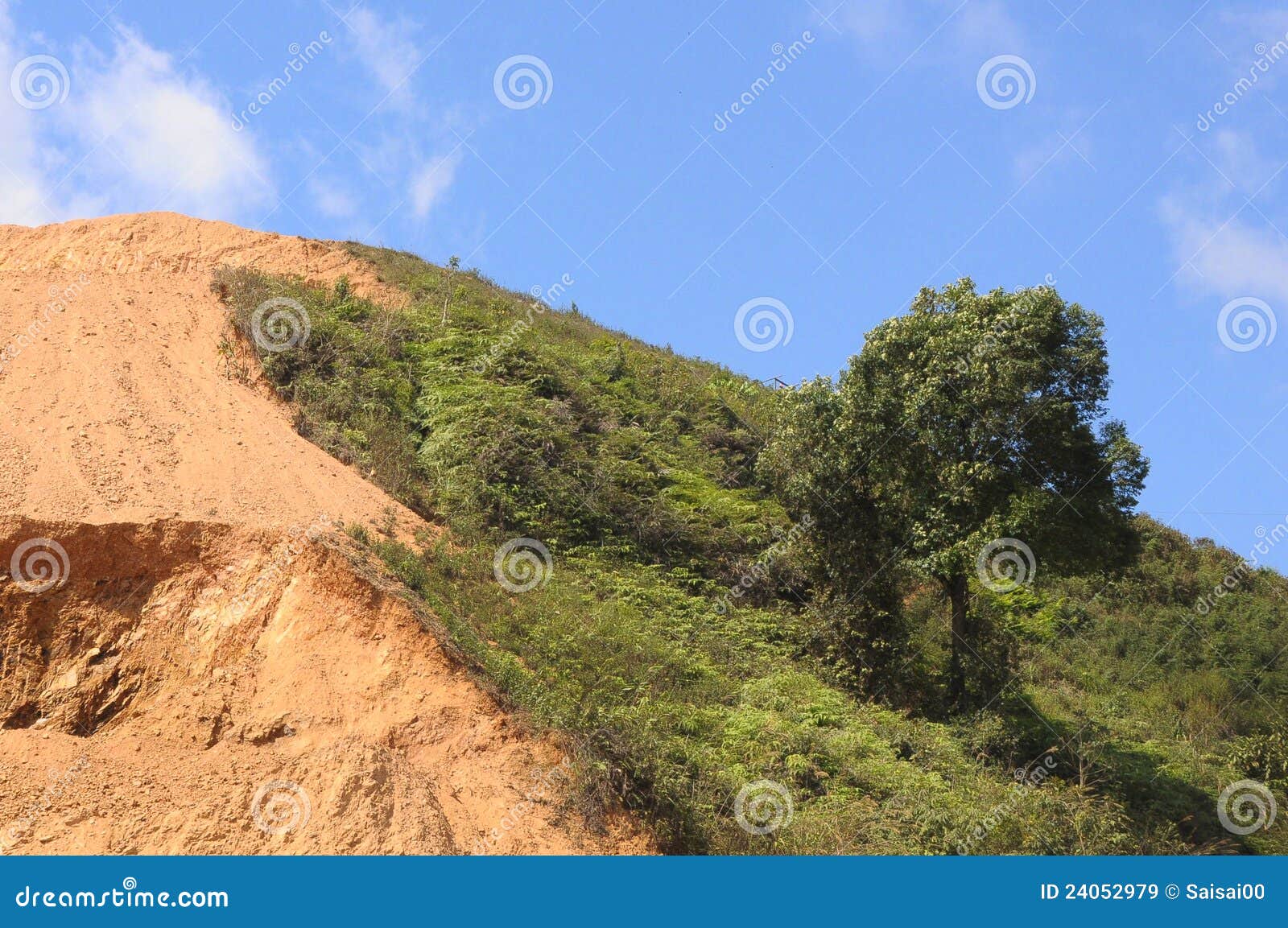 Land and tree stock image. Image of landscape, green - 24052979