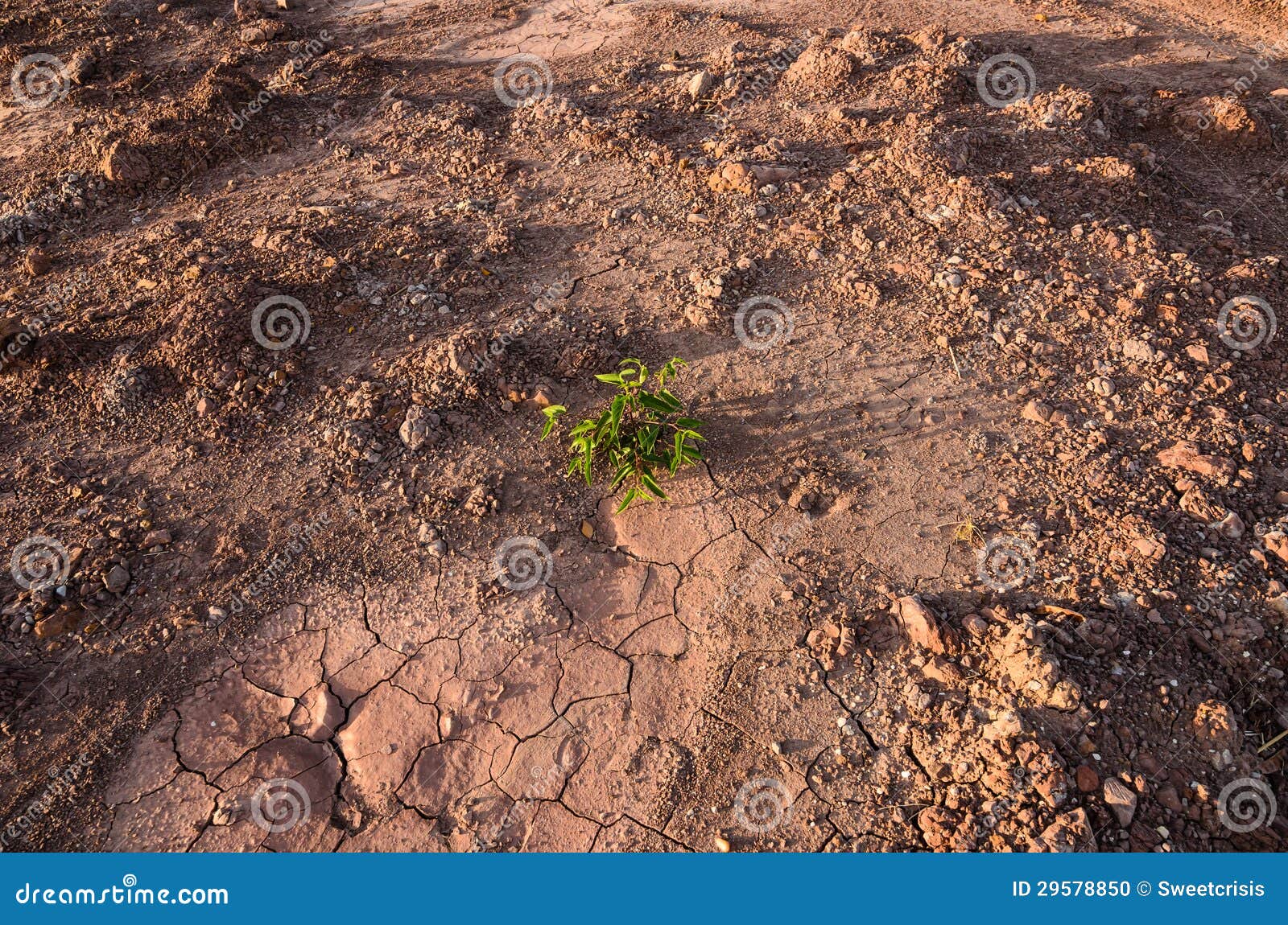 Land and tree stock photo. Image of spring, rural, environment - 29578850