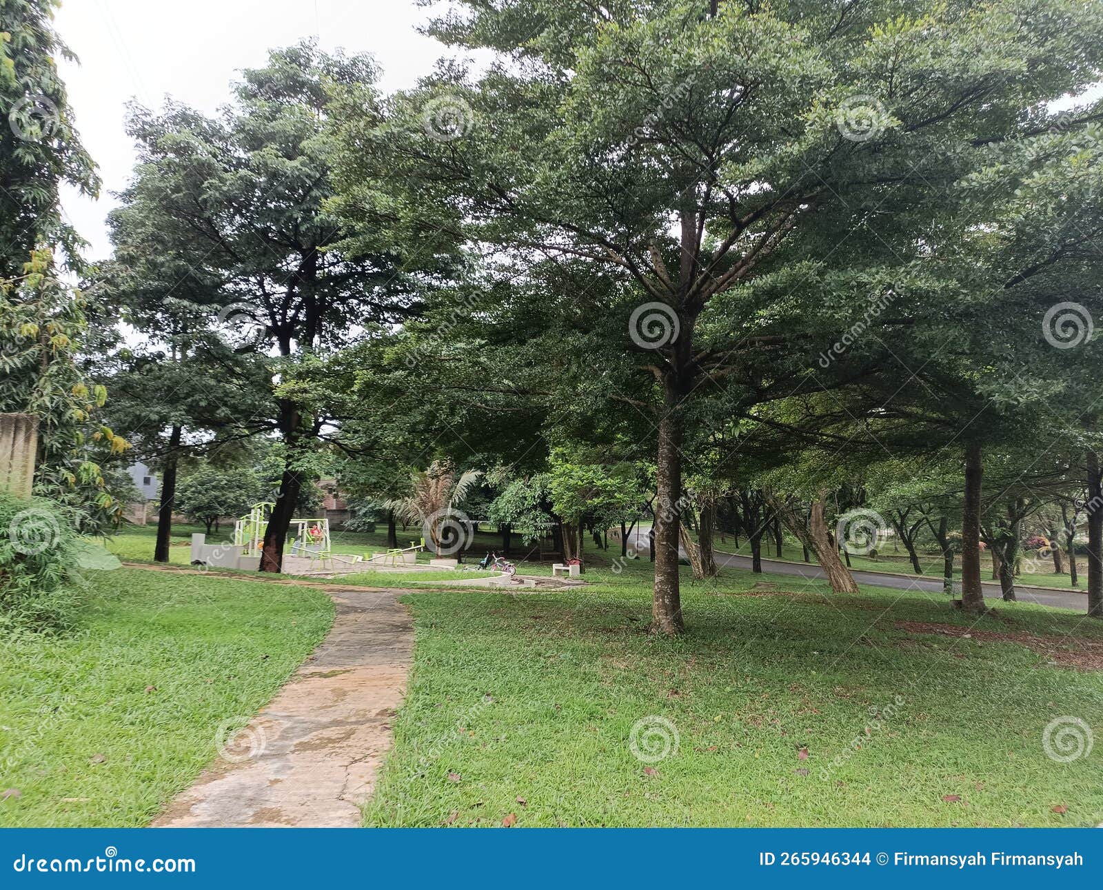 Land of Tree Morning Fresh Air Stock Photo - Image of land, fresh ...