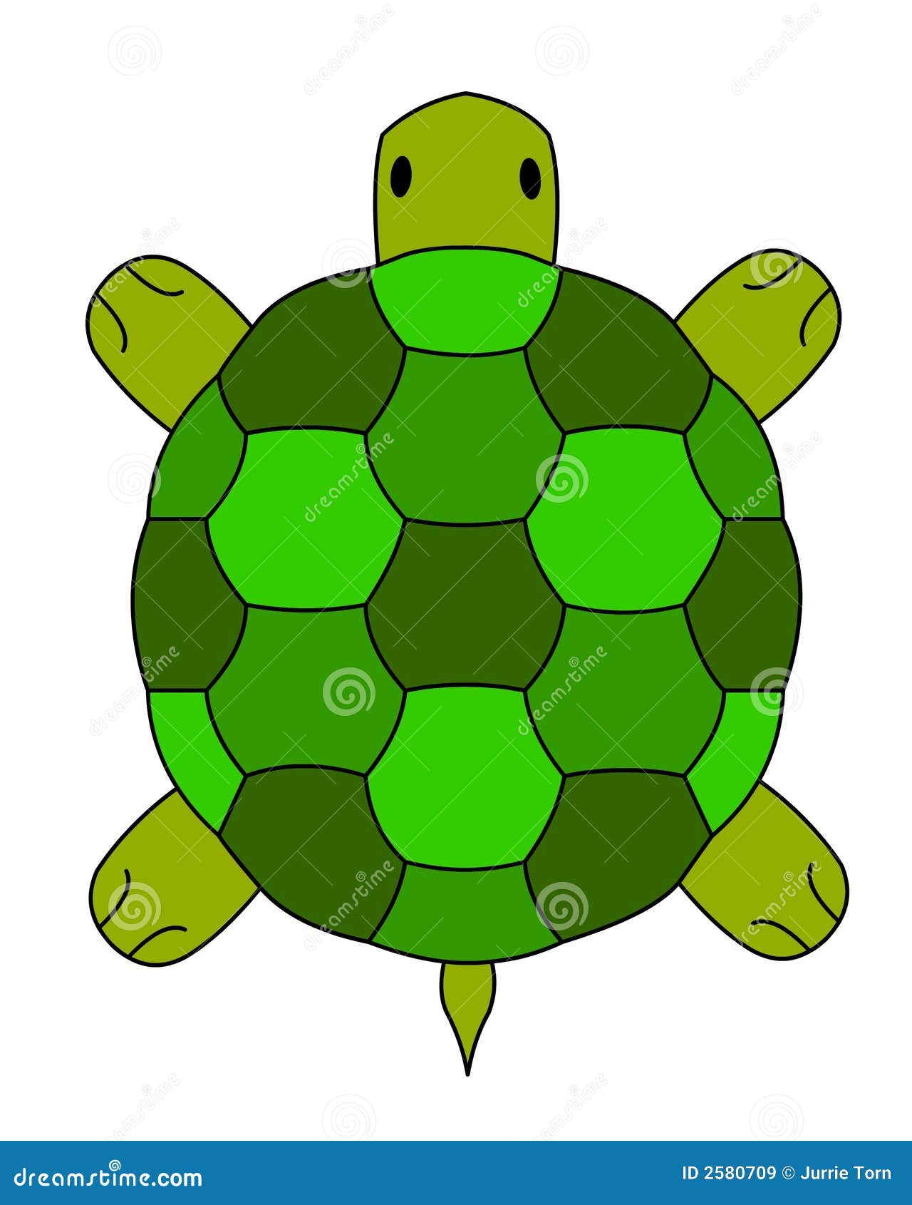 Land turtle illustration stock vector. Illustration of animal - 2580709