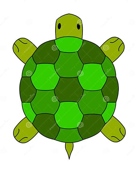 Land turtle illustration stock vector. Illustration of animal - 2580709
