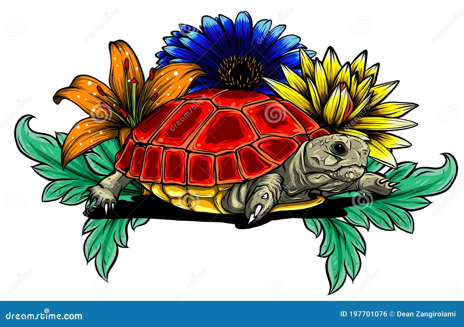 Land Turtle Illustration Cartoon Vector | CartoonDealer.com #2580709