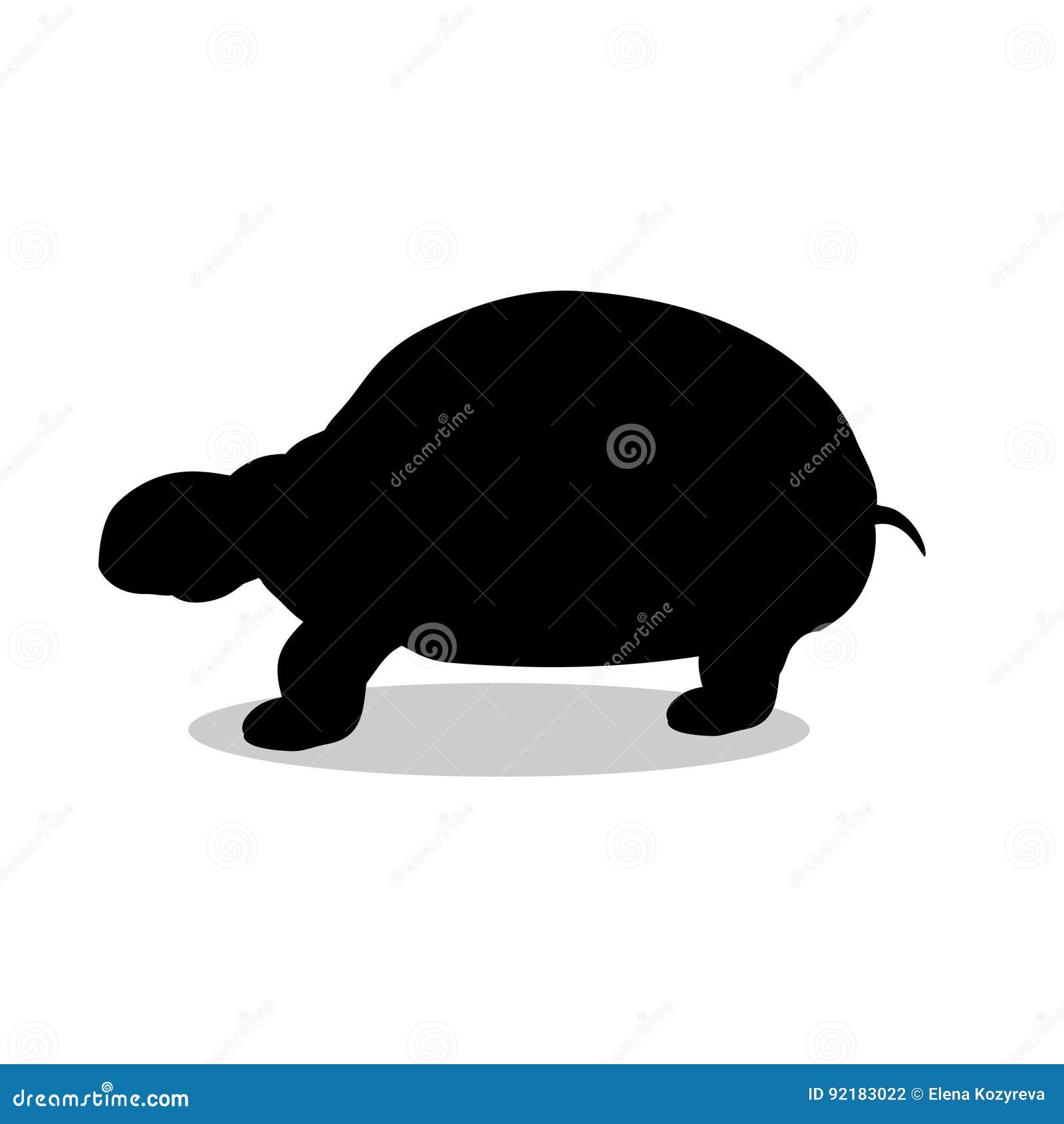 Land Turtle Illustration Cartoon Vector | CartoonDealer.com #2580709