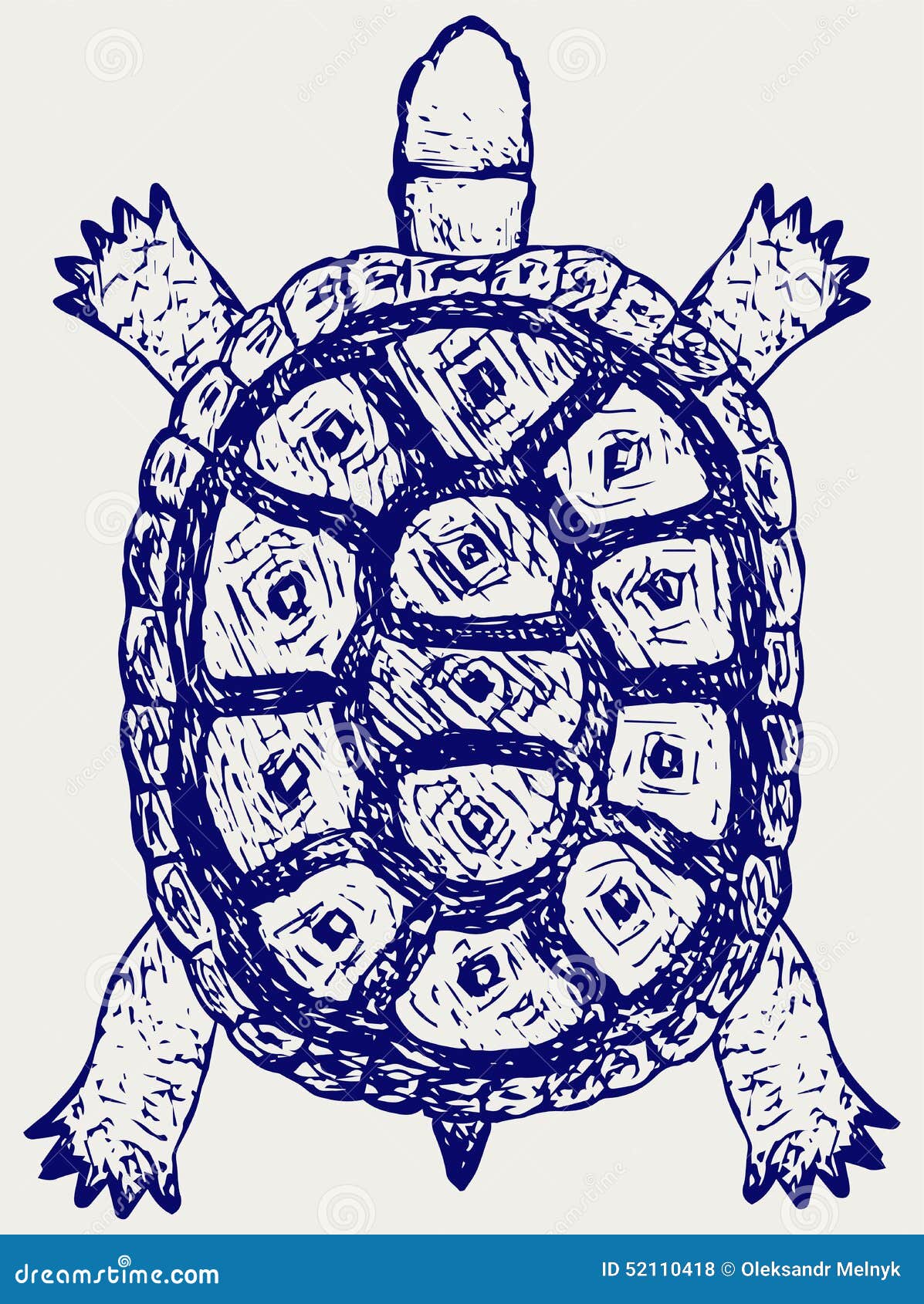 Land turtle stock vector. Illustration of motion, persistence - 52110418