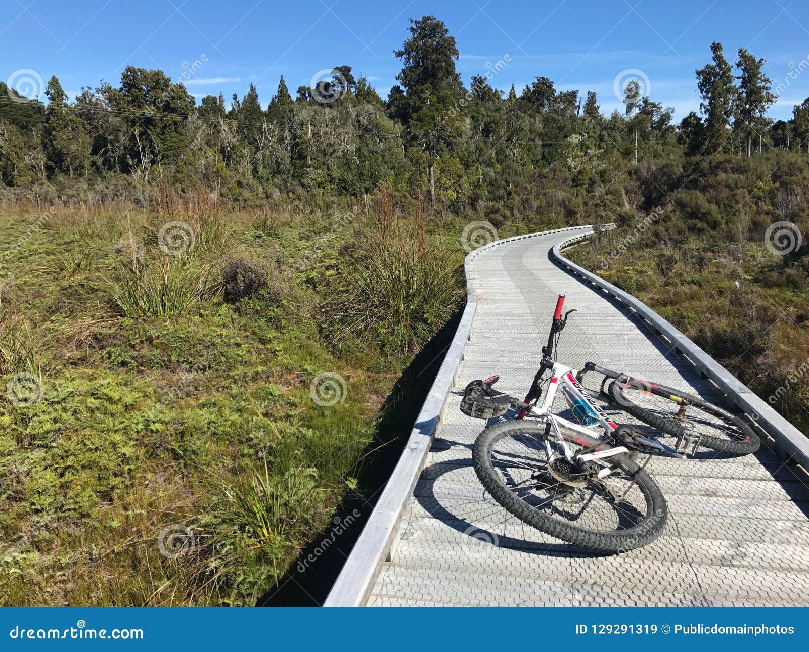 Land Vehicle, Path, Cycling, Road Bicycle Picture. Image: 129291319