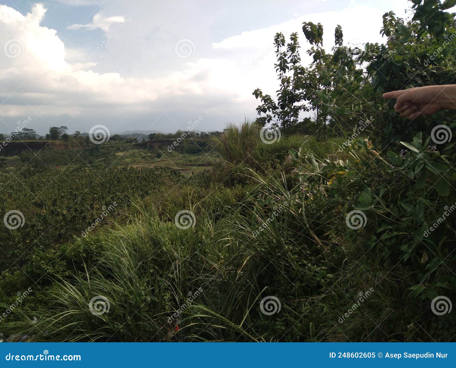 Land View Kuningan Indonesia Stock Image - Image of woodland, field ...