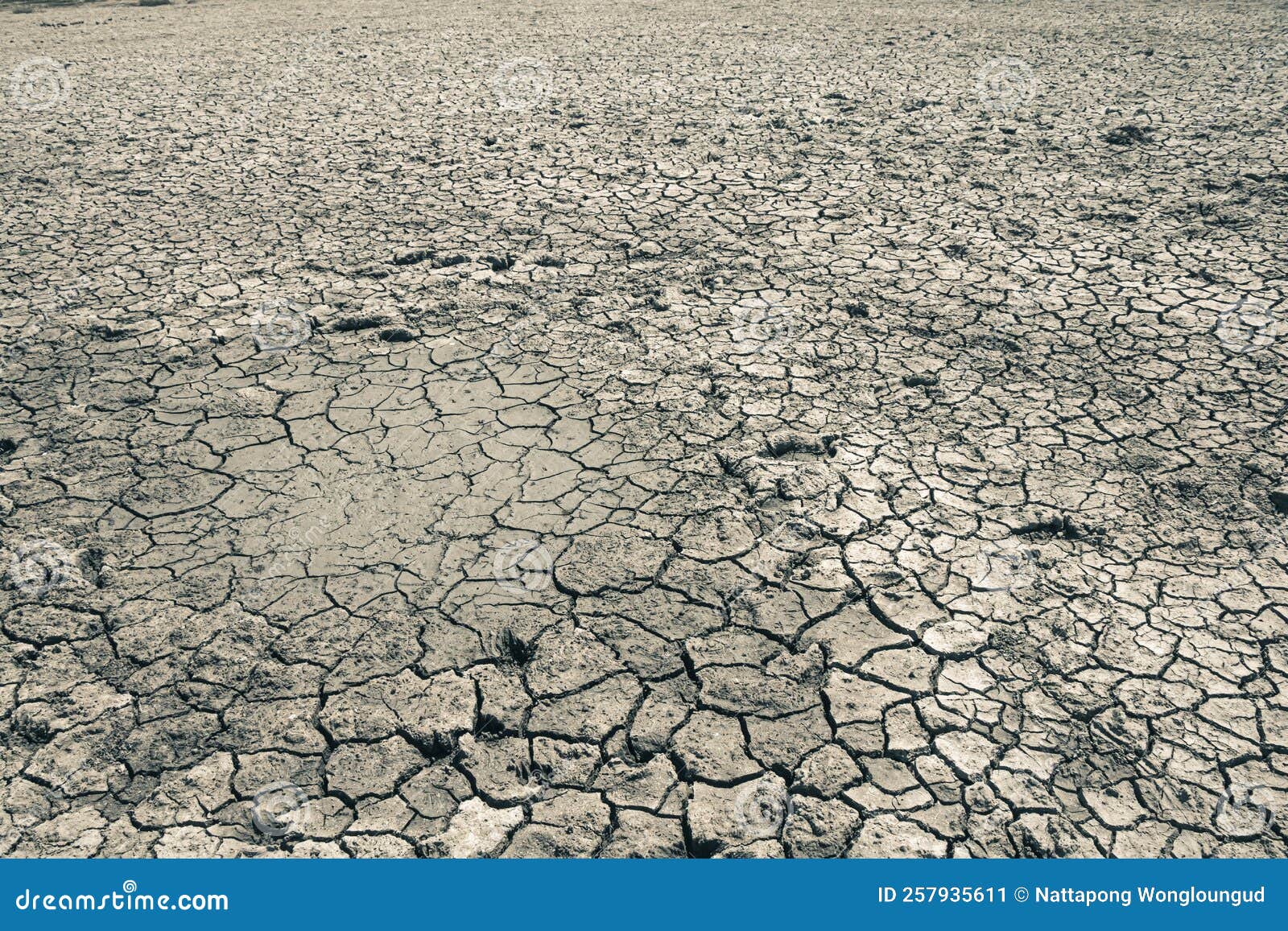 The Land Was Hit by a Severe Drought Crisis Stock Image - Image of save ...