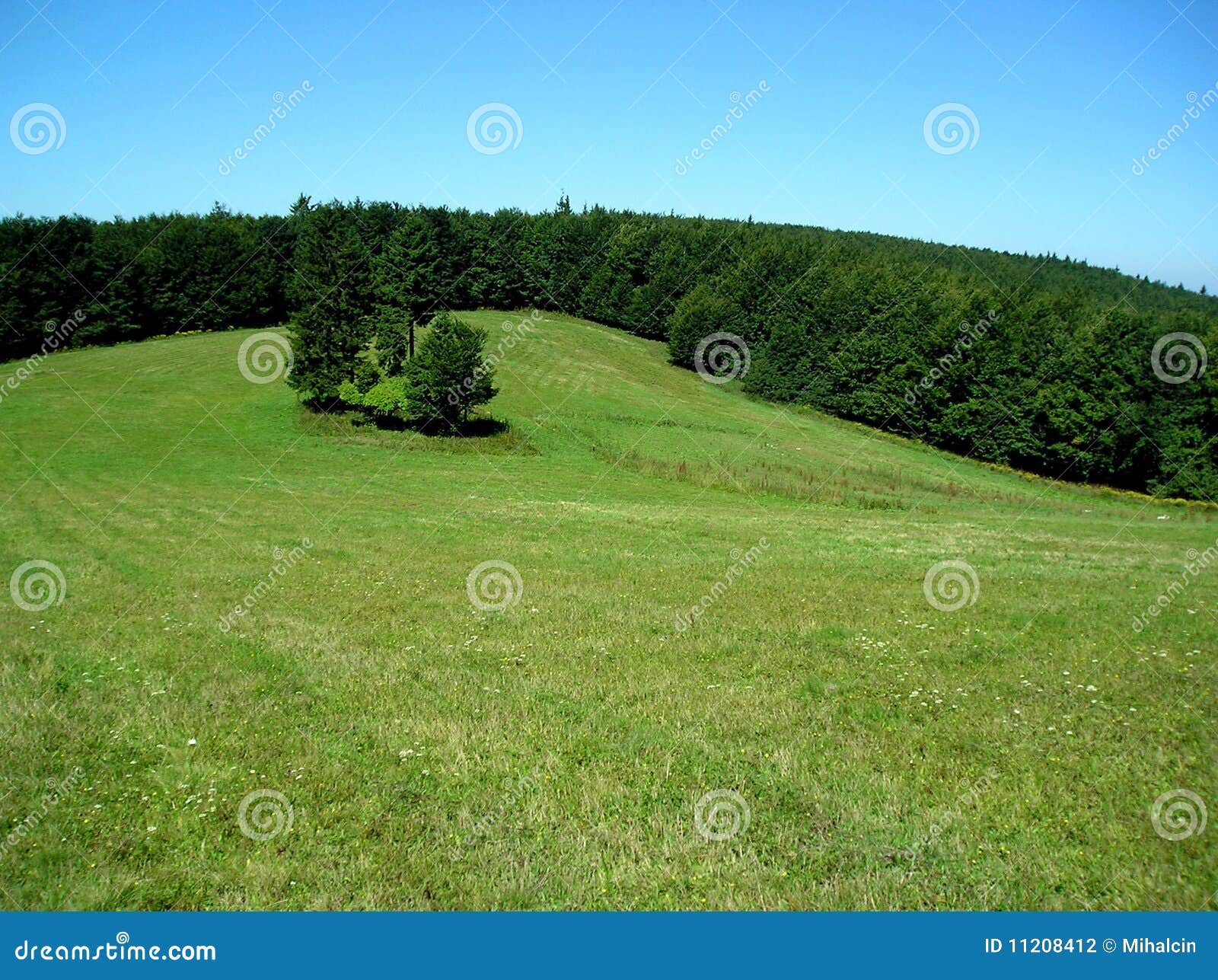 Land wave stock photo. Image of allee, balance, harmony - 11208412