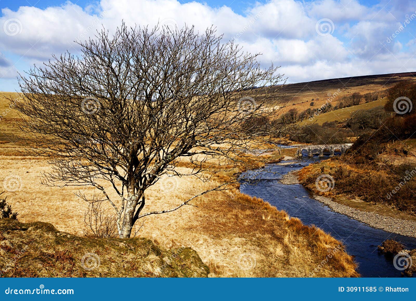 Landacre ridge stock image. Image of scenic, bridge, walking - 30911585