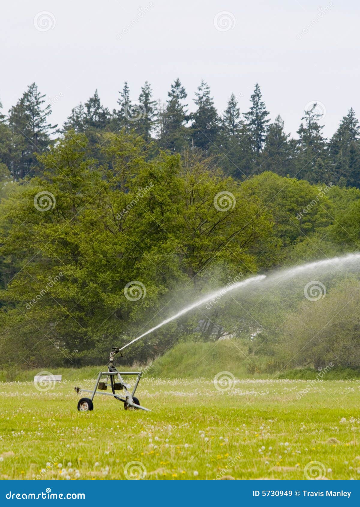 Landbouw Sproeier stock afbeelding. Image of gieter, landbouw - 5730949