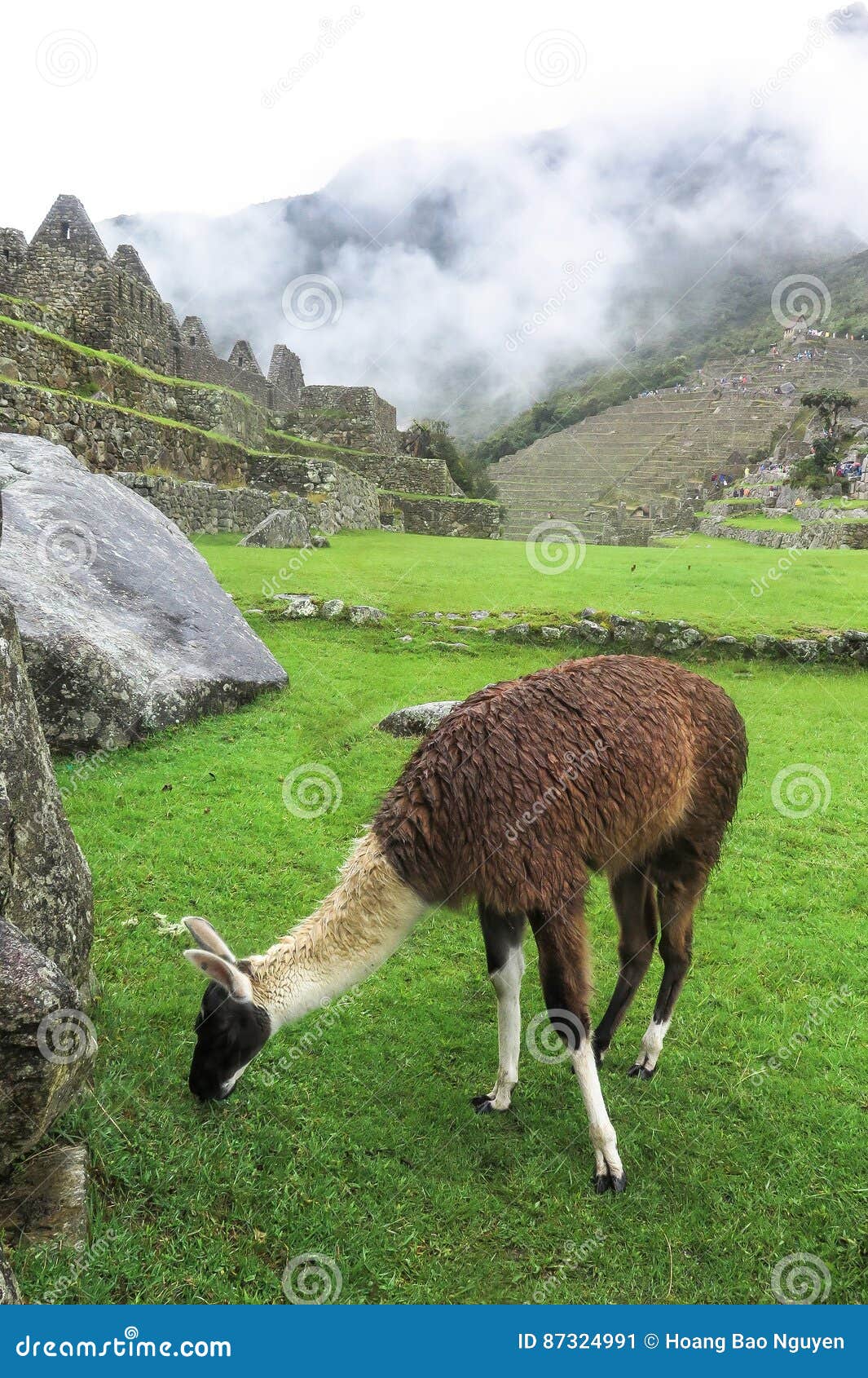 Landcape Van Machu Picchu in Peru Stock Afbeelding - Image of gebied ...