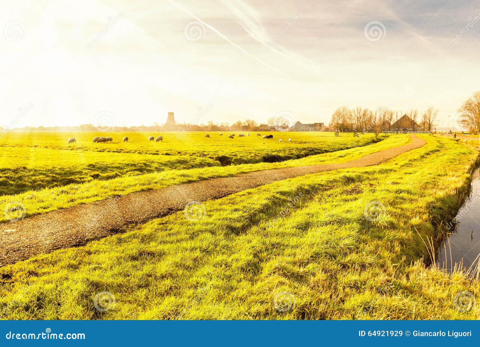 Landelijk Landschap in Holland Stock Afbeelding - Image of landschap ...