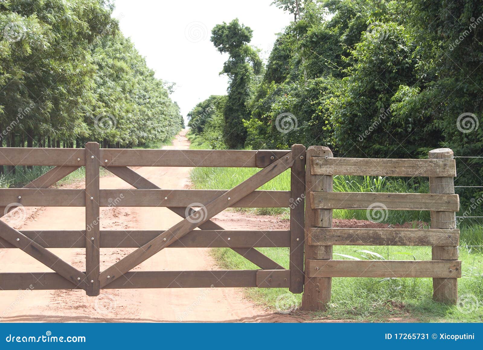 Landelijke Poort stock afbeelding. Image of nave, weiland - 17265731