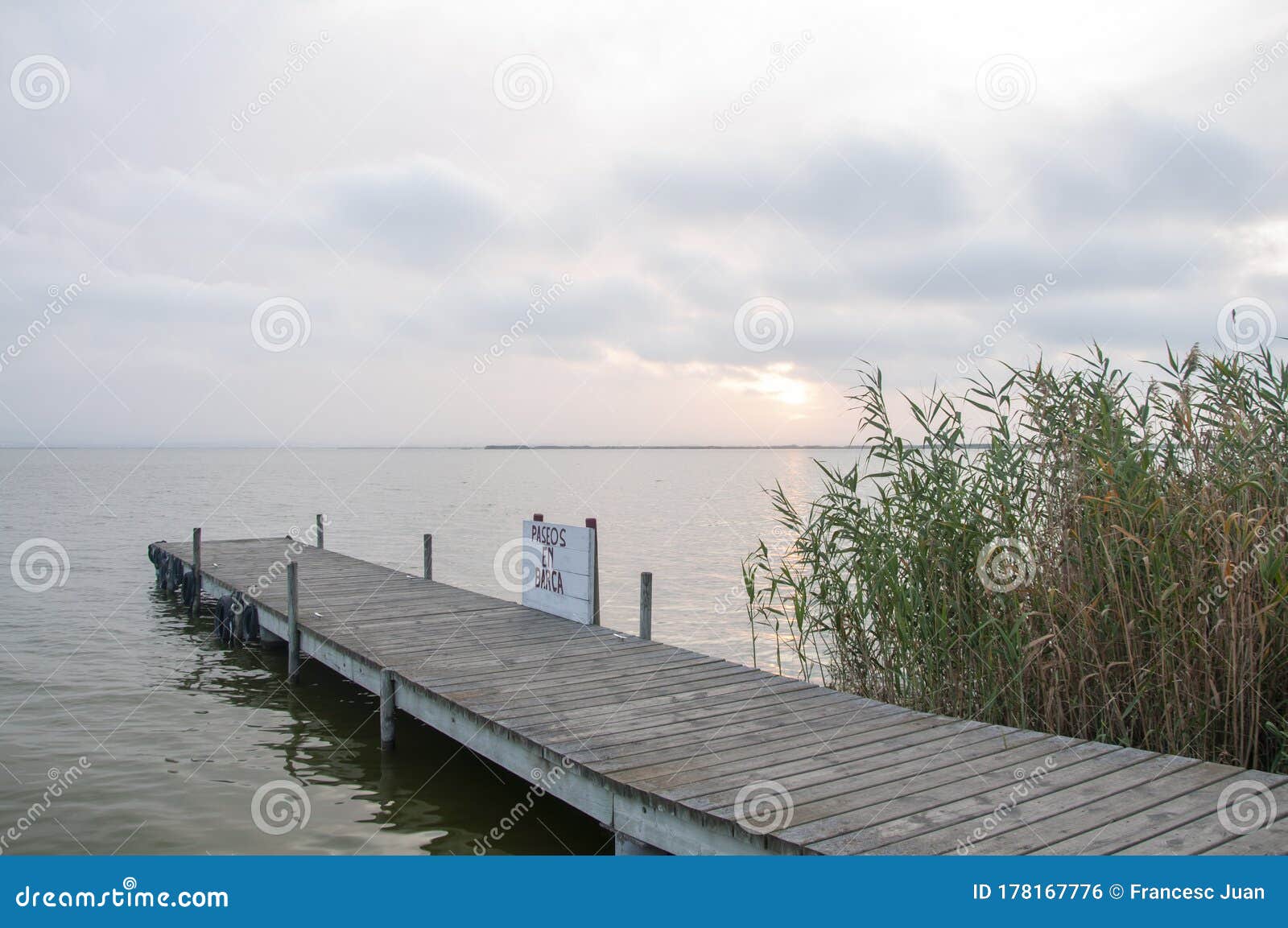 Landing on the Albufera Lake Stock Photo - Image of destination ...