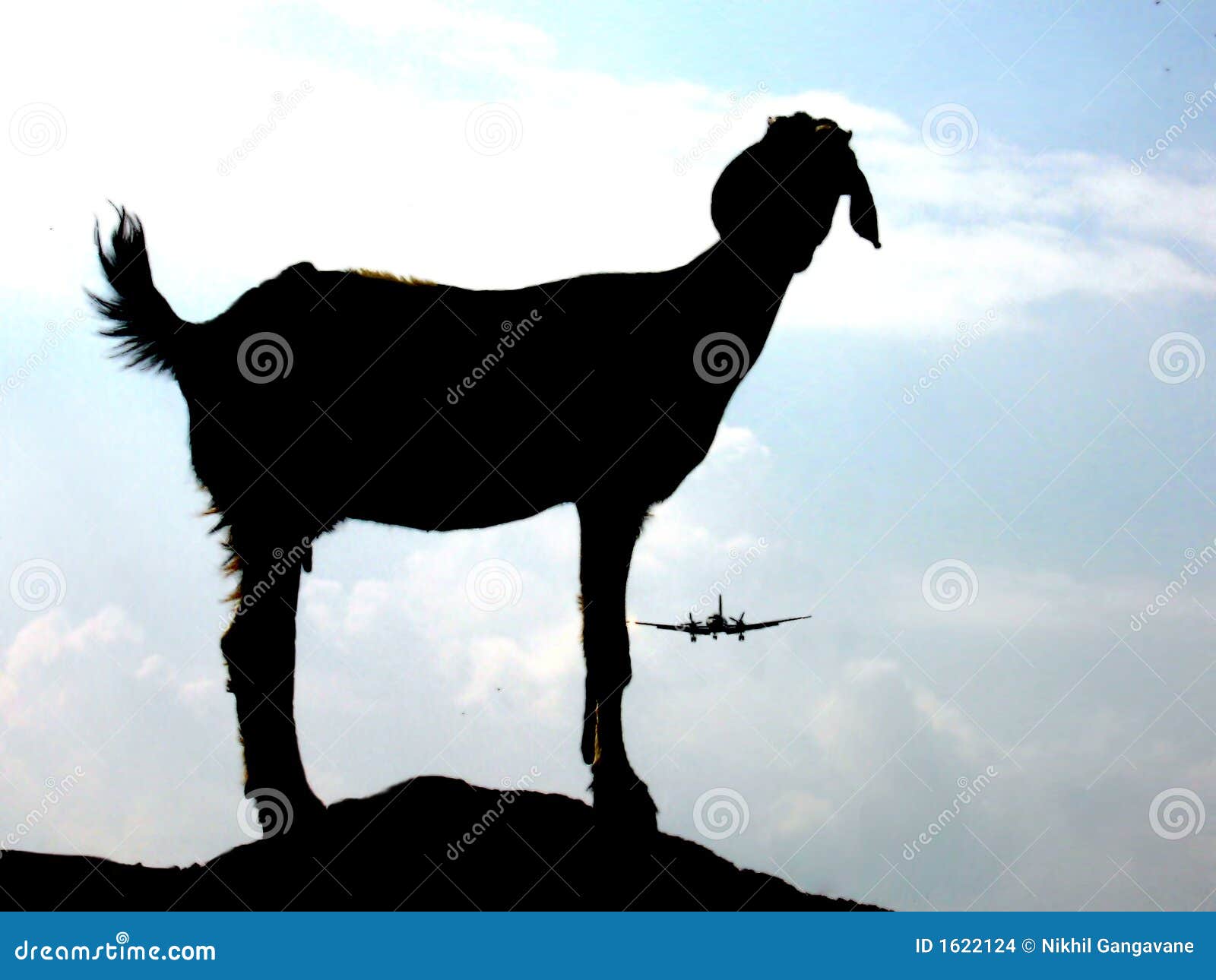 Landing on the Goat stock photo. Image of crashing, dark - 1622124