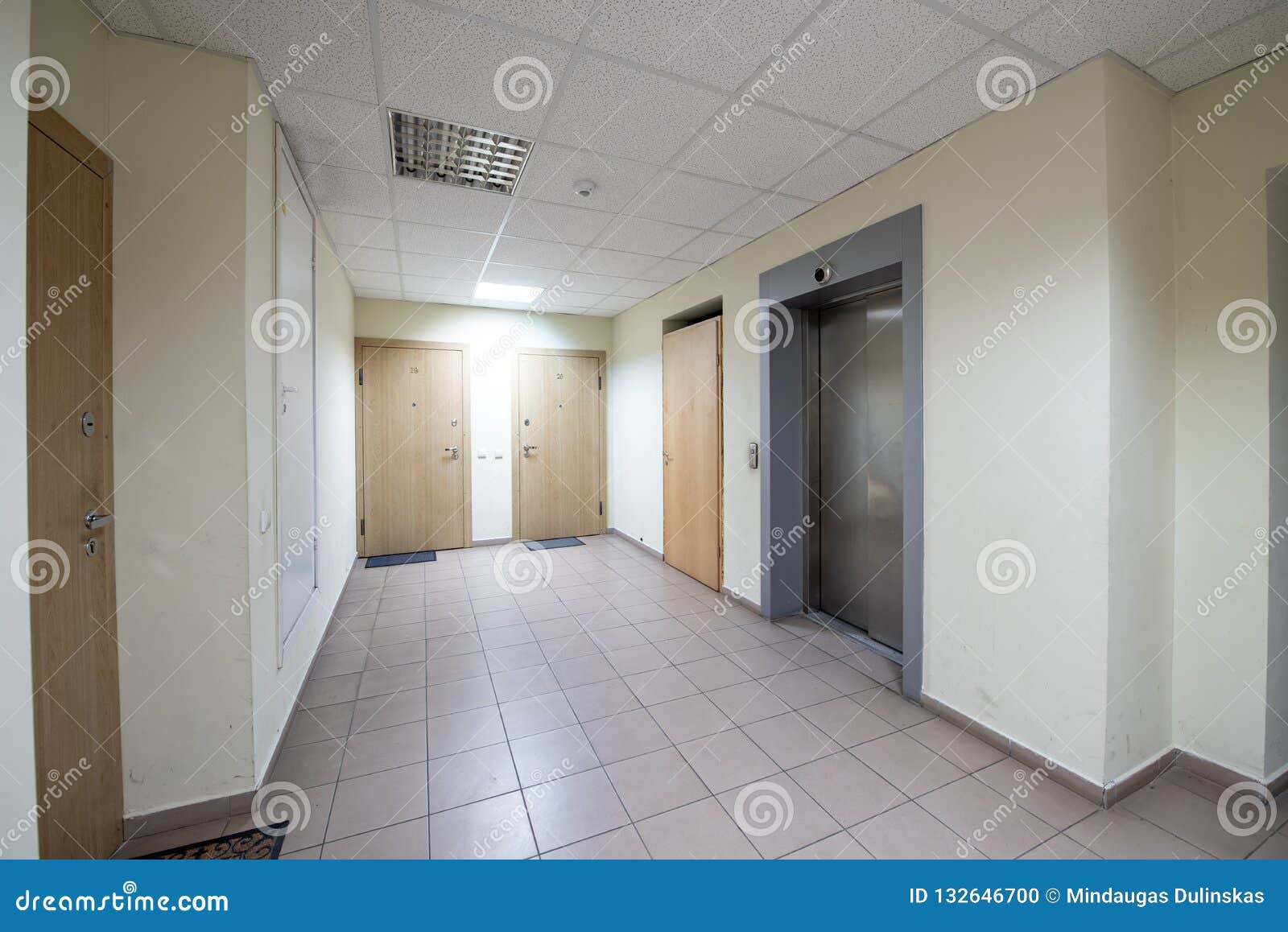 Landing in Modern Building with Wooden Doors and Elevator Stock Photo ...
