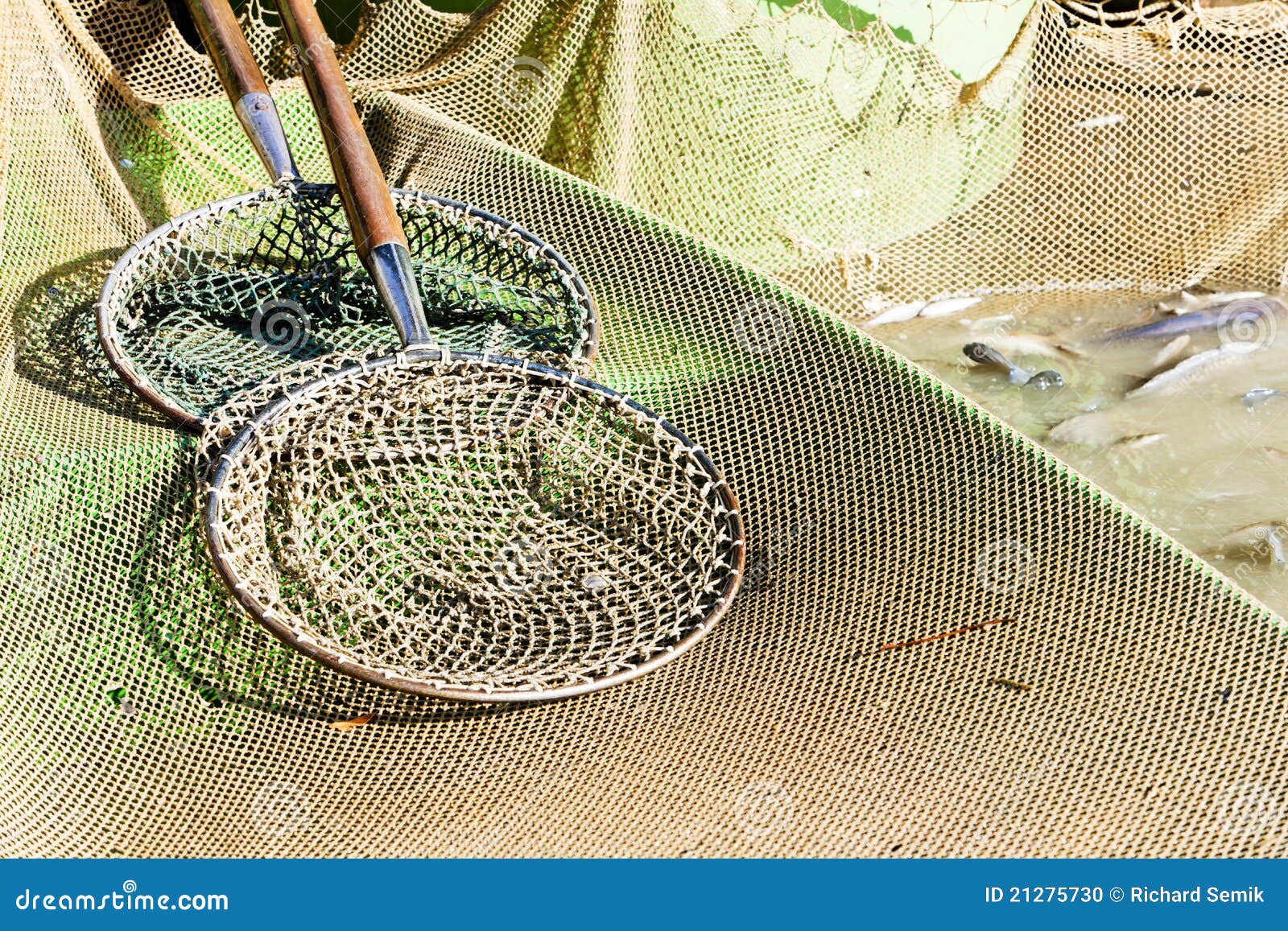 Landing nets stock photo. Image of harvesting, fishing - 21275730