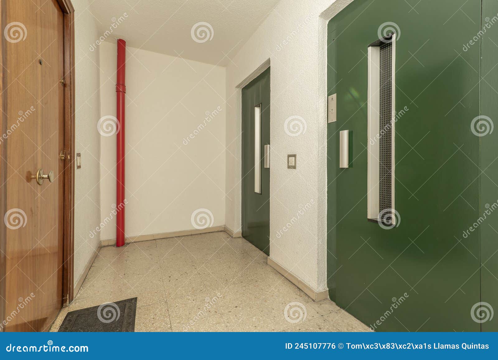 Landing of a Residential Building with Elevators Stock Photo - Image of ...