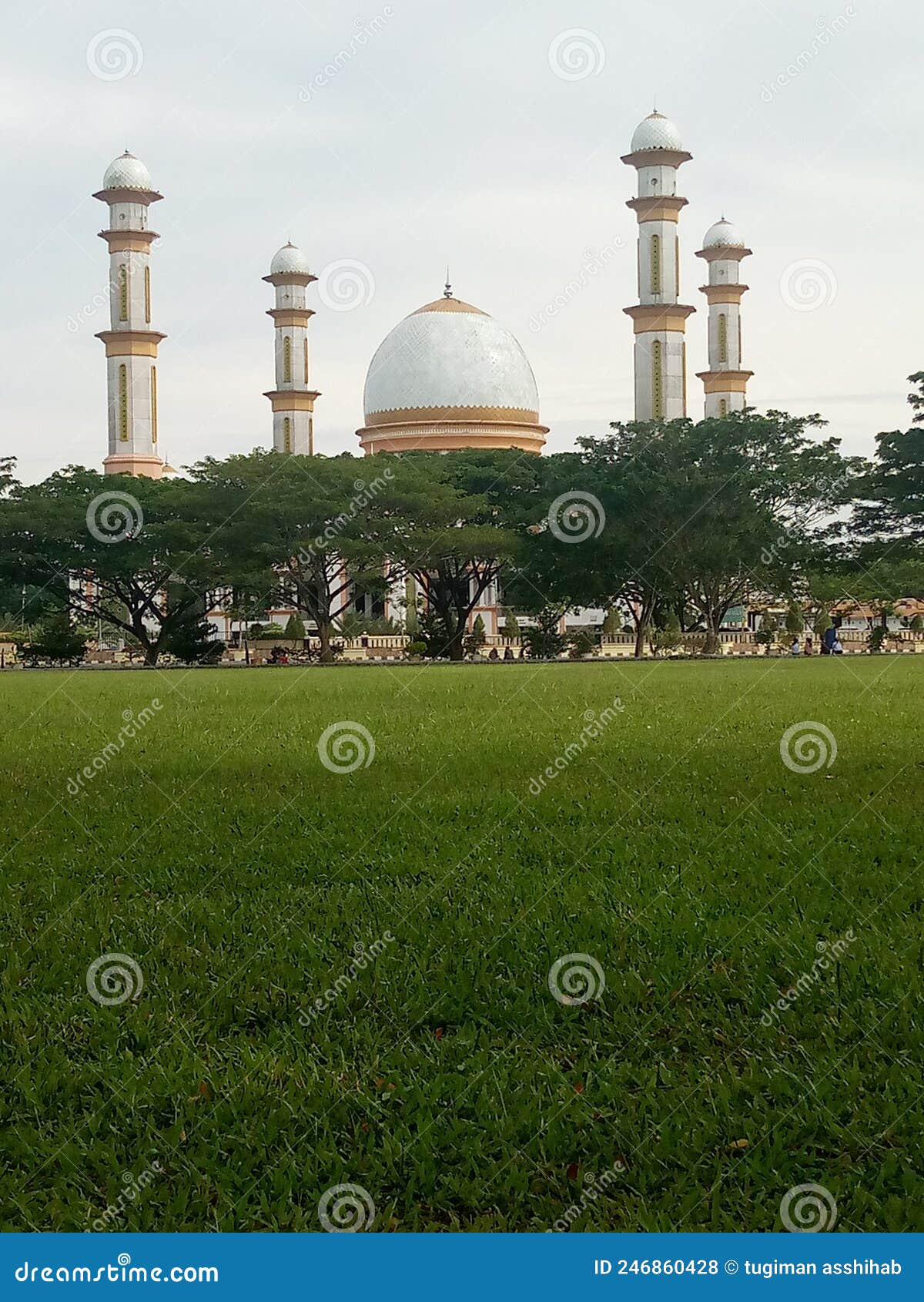 Landmark of the city stock photo. Image of grass, landmark - 246860428