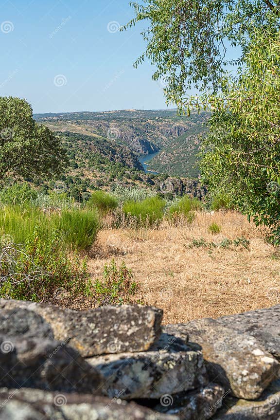 Lands Overlooking Rivern Canyon Stock Photo - Image of horizont, nature ...