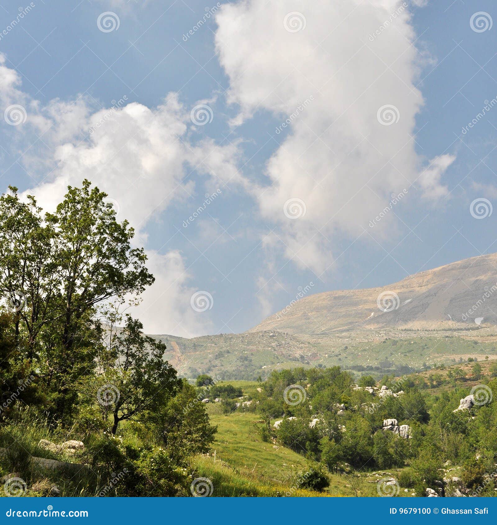 Landscape_02 stock photo. Image of trees, landscapes, baskinta - 9679100