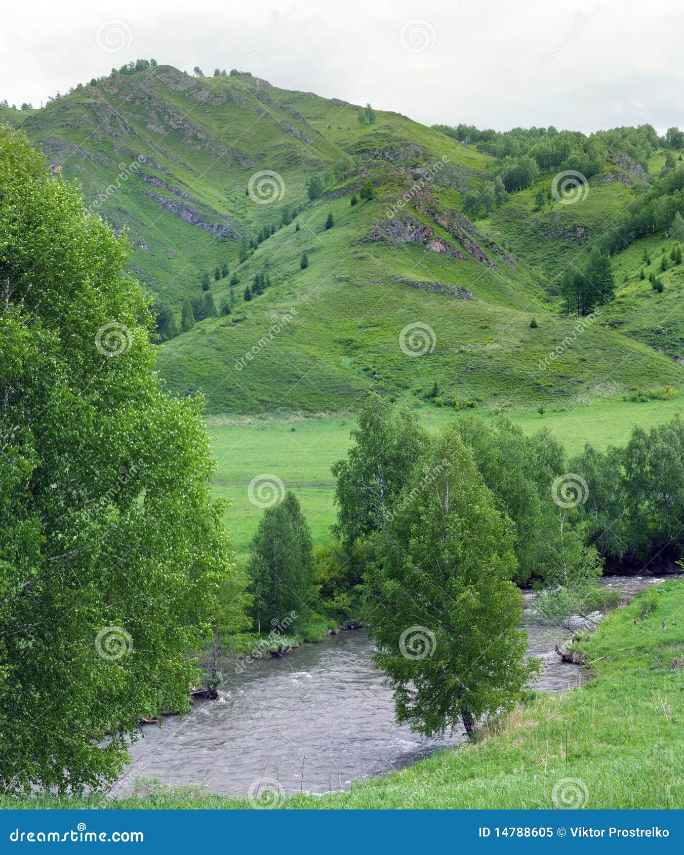 Landscape stock image. Image of lake, open, expanse, grass - 14788605