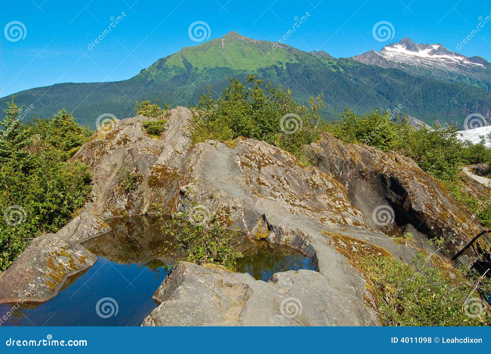 Glacial Tide Pool Stock Photos - Free & Royalty-Free Stock Photos from ...