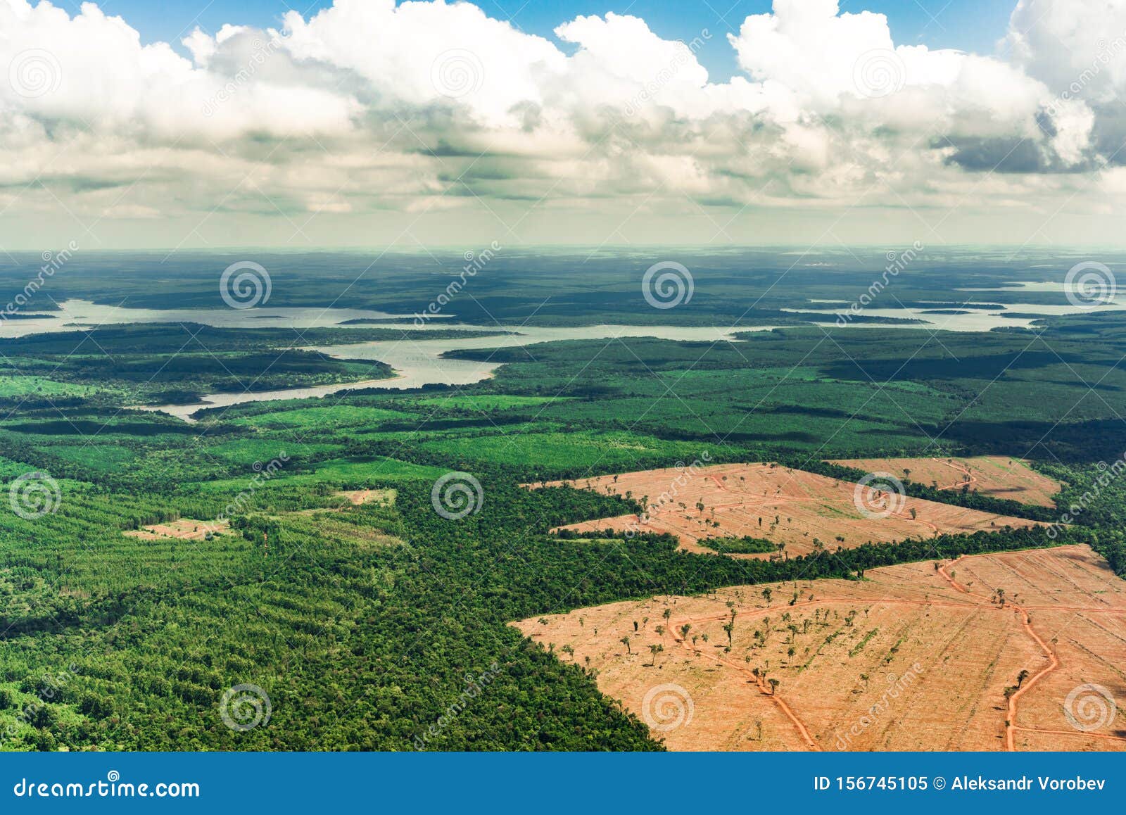 Landscape Aerial View of Colorful Amazon Rivers, Forest, Jungle, and ...