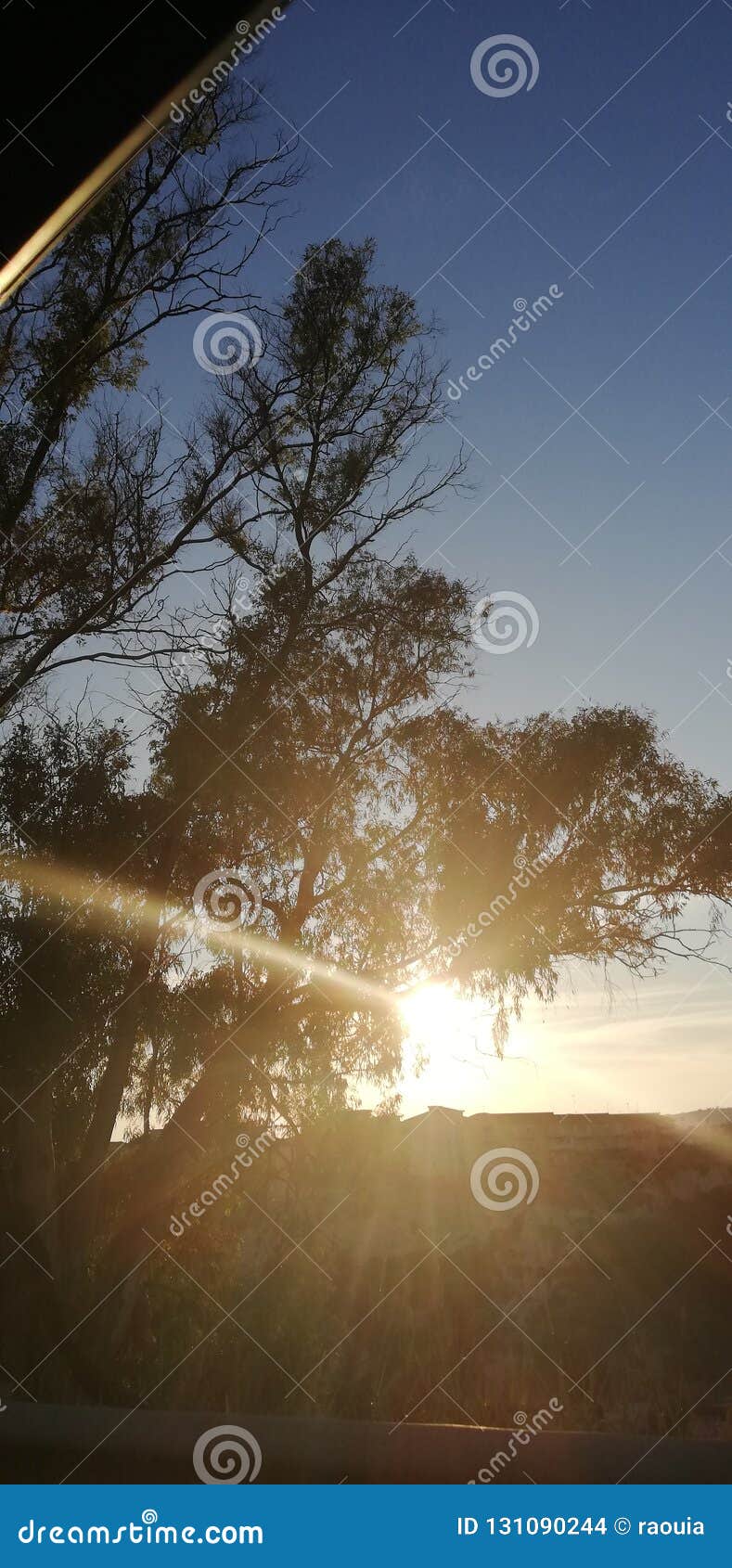 Afternoon with the sun stock photo. Image of landscape - 131090244