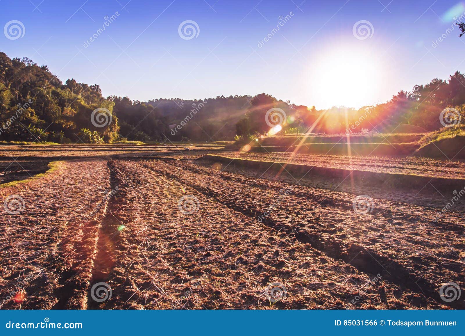 Landscape Agricultural Field Arable Land Stock Photo - Image of dust ...