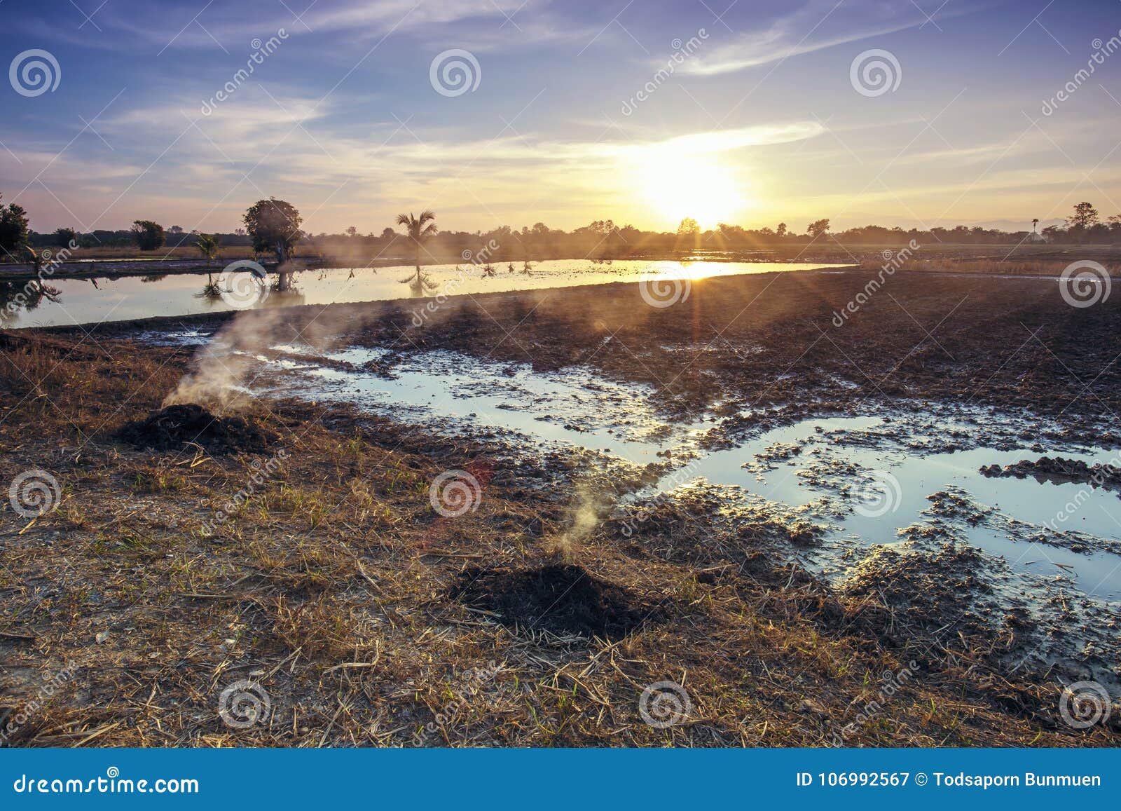 Landscape Agriculture Farm Field at Sunset Stock Image - Image of ...