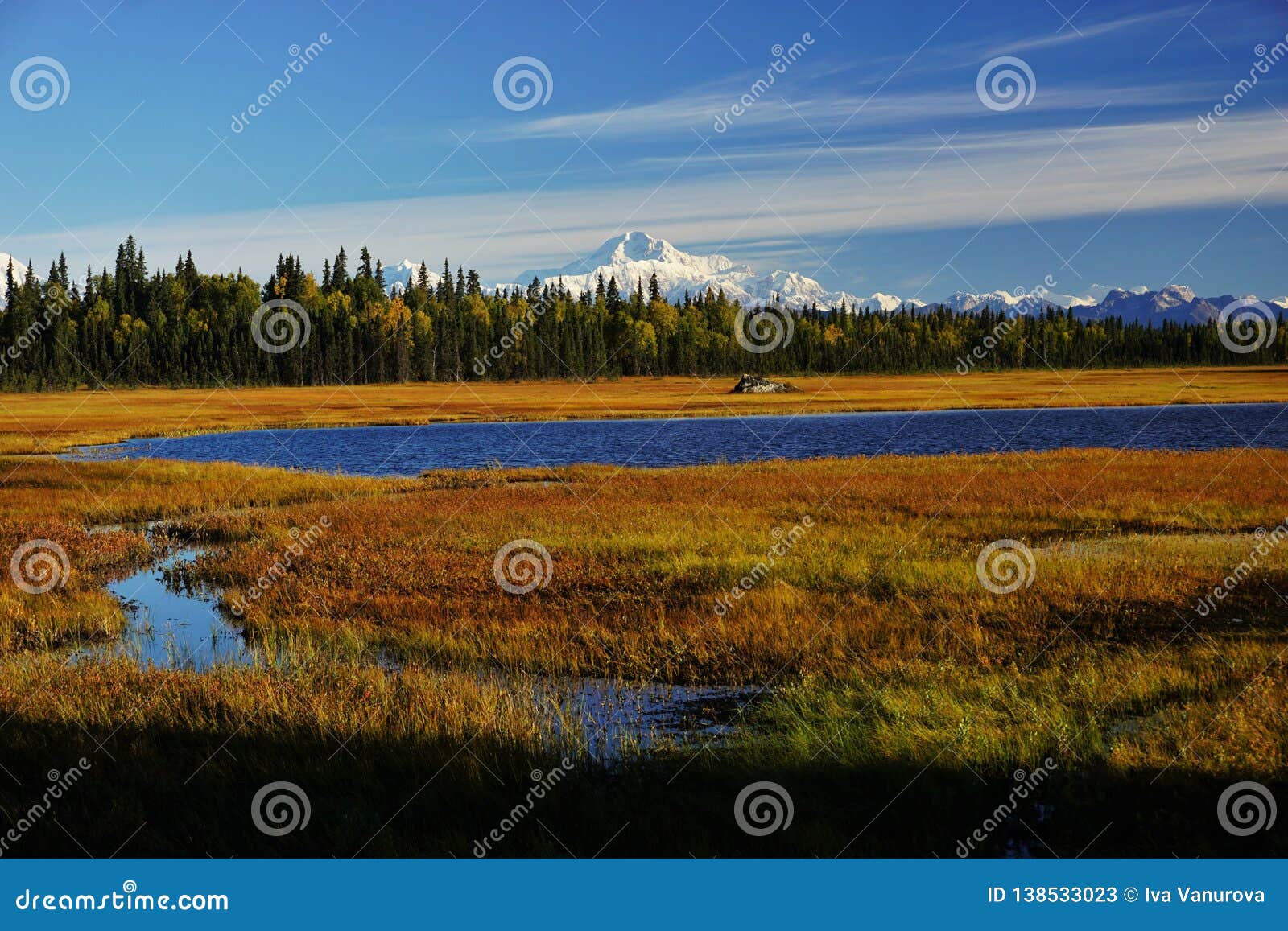 Landscape in Alaska stock image. Image of beautiful - 138533023