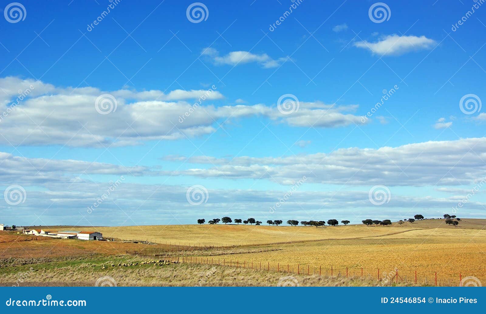 Landscape of alentejo farm stock photo. Image of mediterranean - 24546854