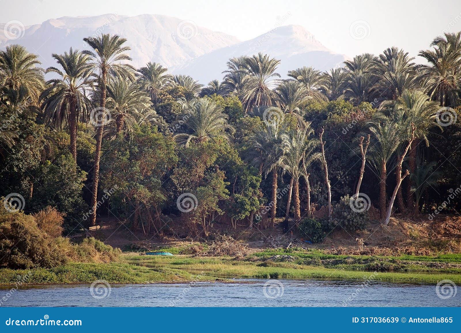 Landscape Along the Nile River between Luxor and Aswan, Egypt Stock ...