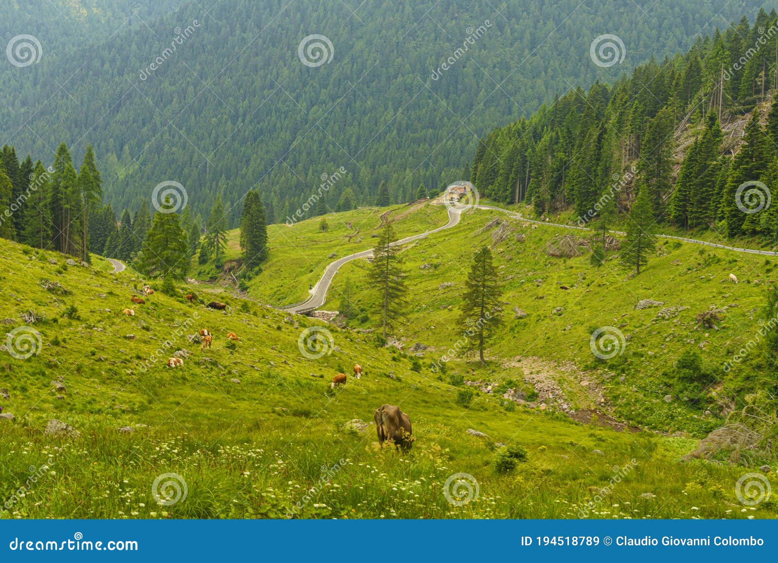 Manghen Pass Stock Photos - Free & Royalty-Free Stock Photos from ...