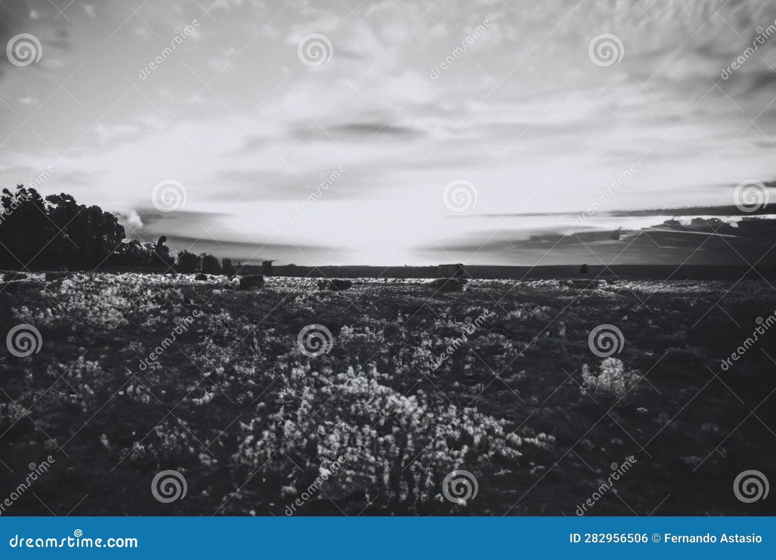 Analog Photography. Landscape. Landscape with Analog Photography. Stock ...