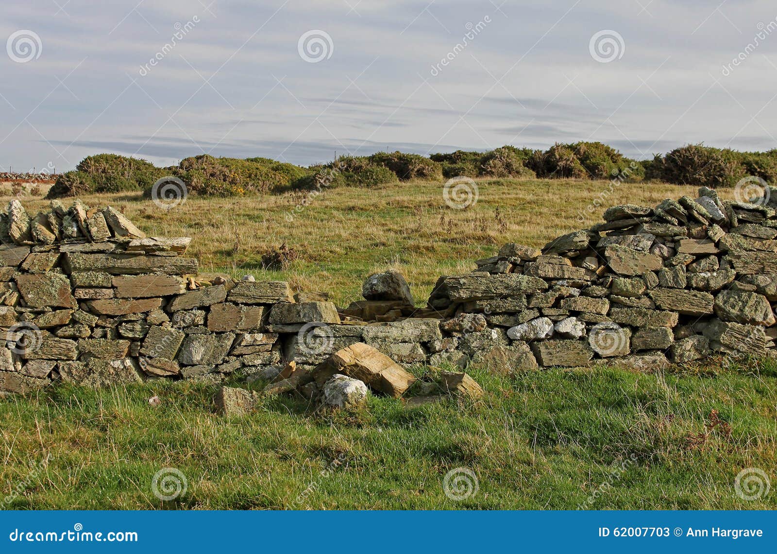 Landscape on Anglesey stock image. Image of wild, north - 62007703