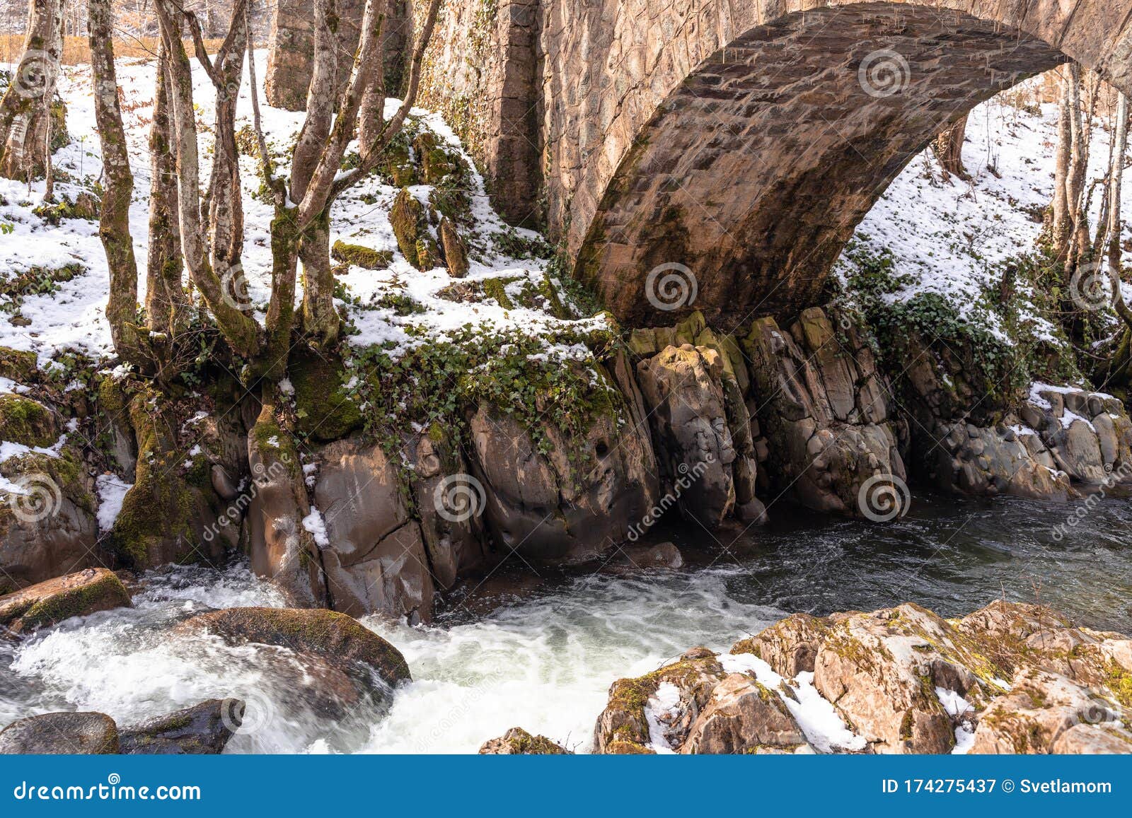 Landscape :Arc Over the River in the Forest Stock Image - Image of ...