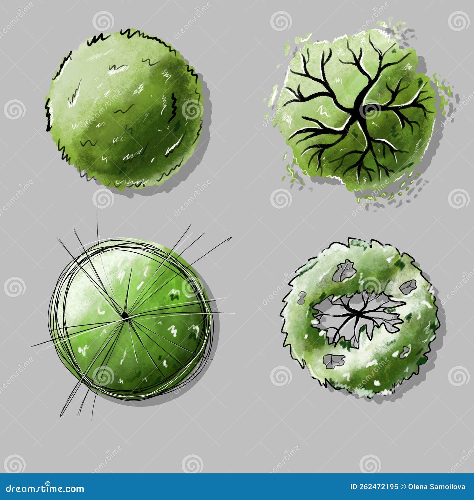 Landscape Architect Design Tree Plan. Type of Turf in Different Types ...