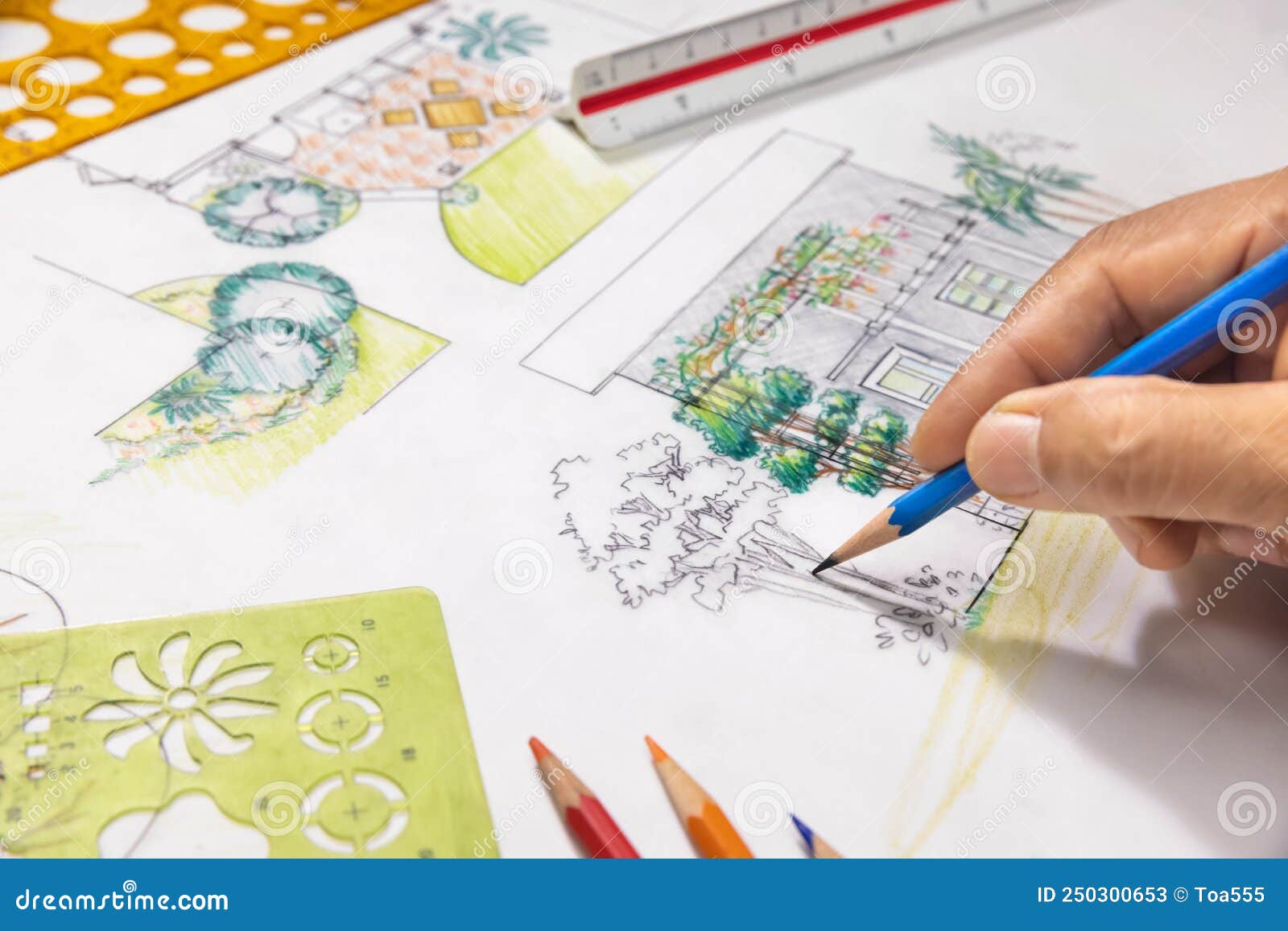 Landscape Architect Student Learning Garden Plan Design Stock Image ...