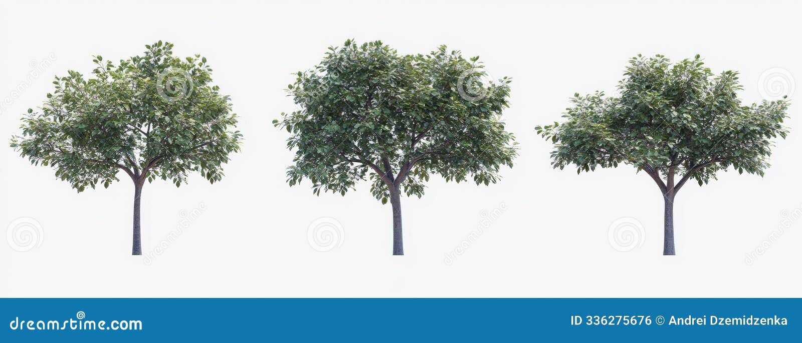 For Landscape and Architecture Layout Drawings, Elements for the ...