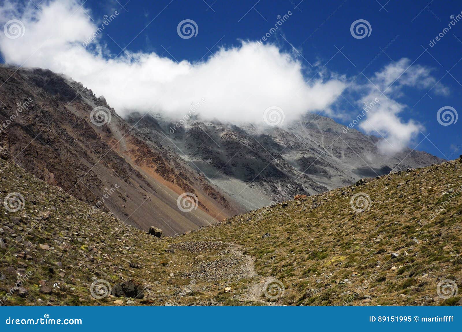 Landscape in Argentinian Andes Stock Image - Image of elevation, nature ...