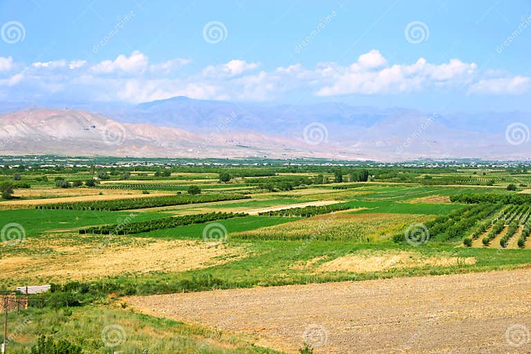 Landscape in Armenia stock image. Image of vinery, journey - 26022683