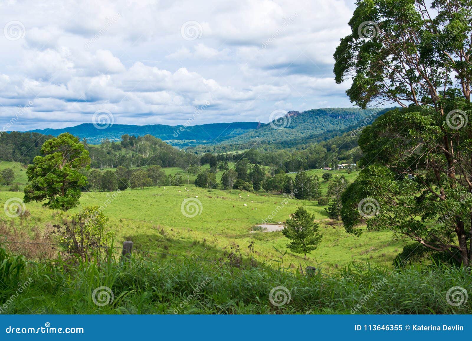 Landscape in Australian Hinterland Stock Image - Image of hill, tree ...