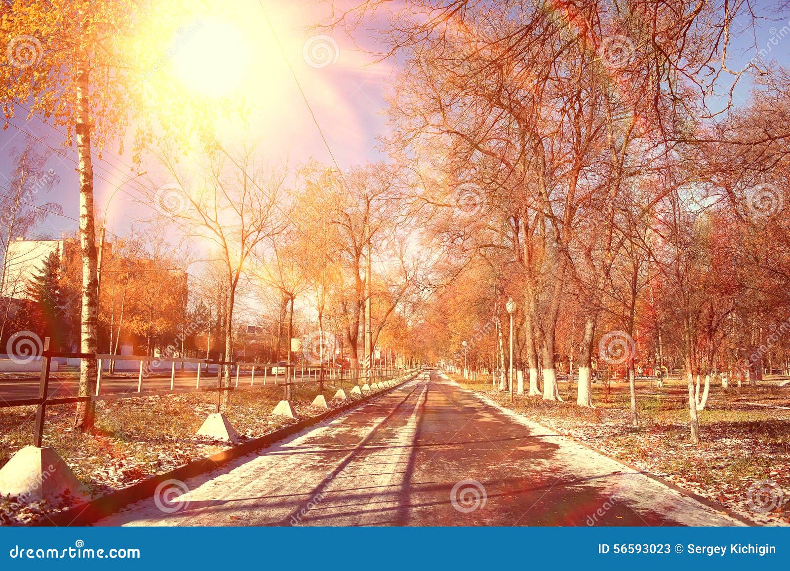 Landscape in autumn park stock image. Image of beauty - 56593023