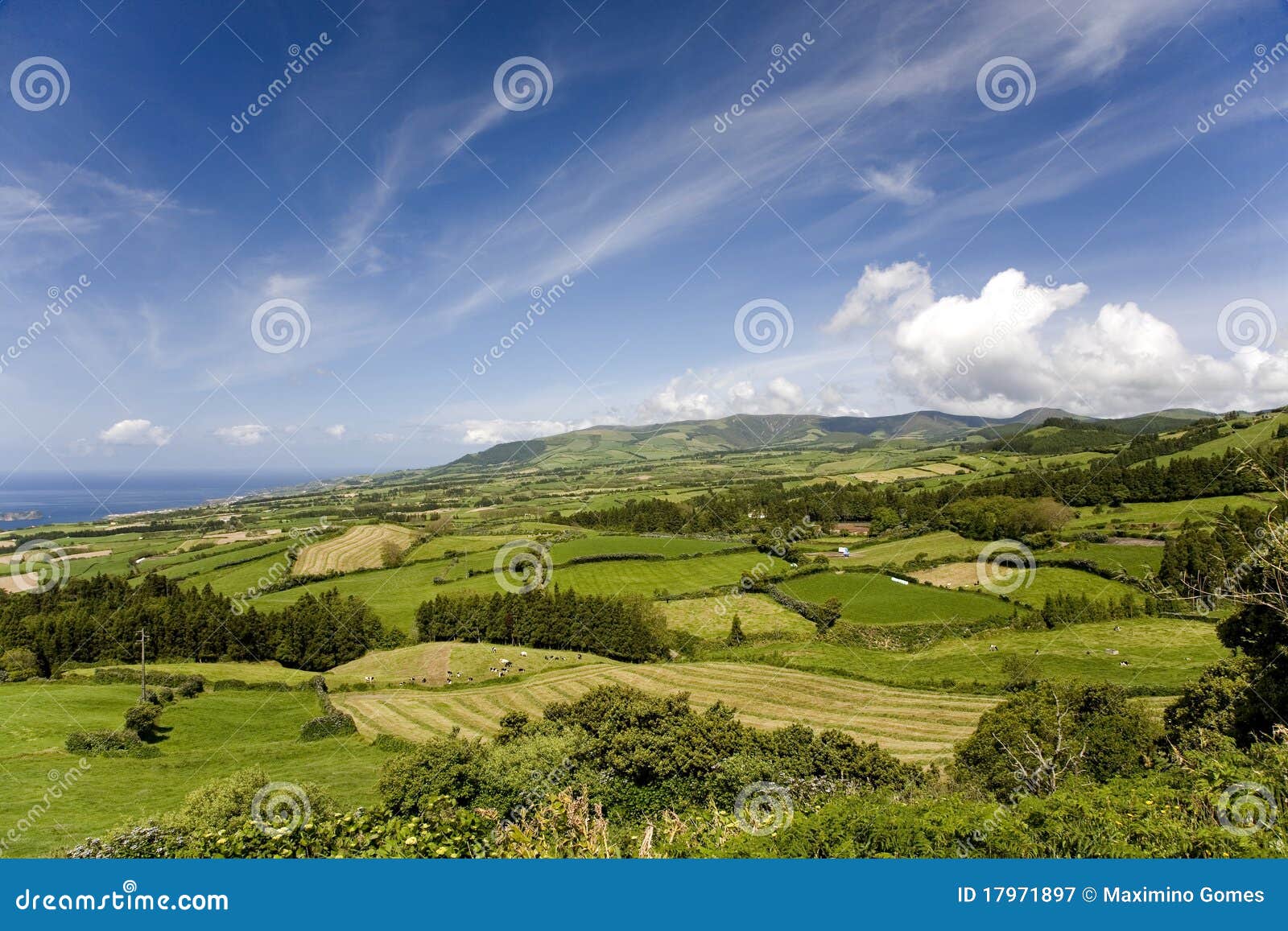 Landscape from Azores in Portugal Stock Image - Image of grass ...