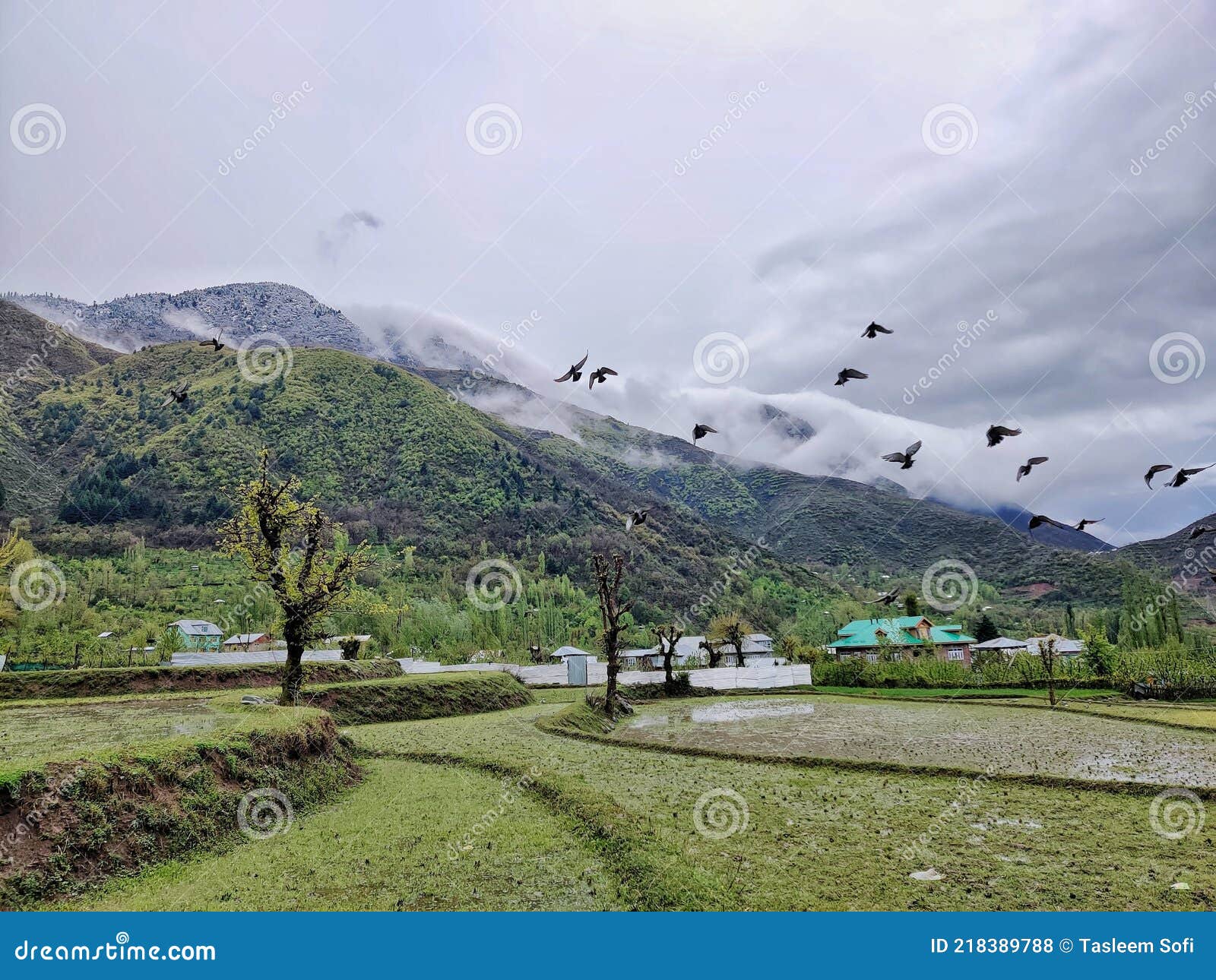 Landscape of Bandipora Kashmir Stock Photo - Image of grassland, grassy ...
