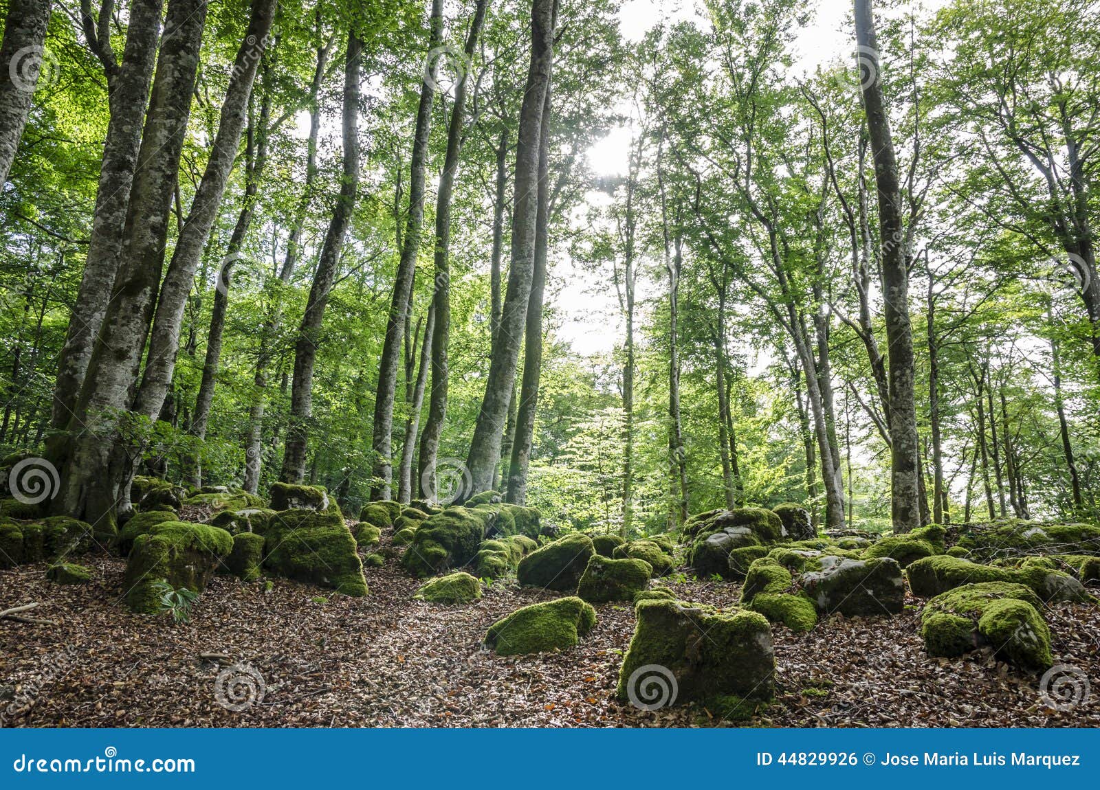 Landscape in the Basque Country Stock Photo - Image of architecture ...