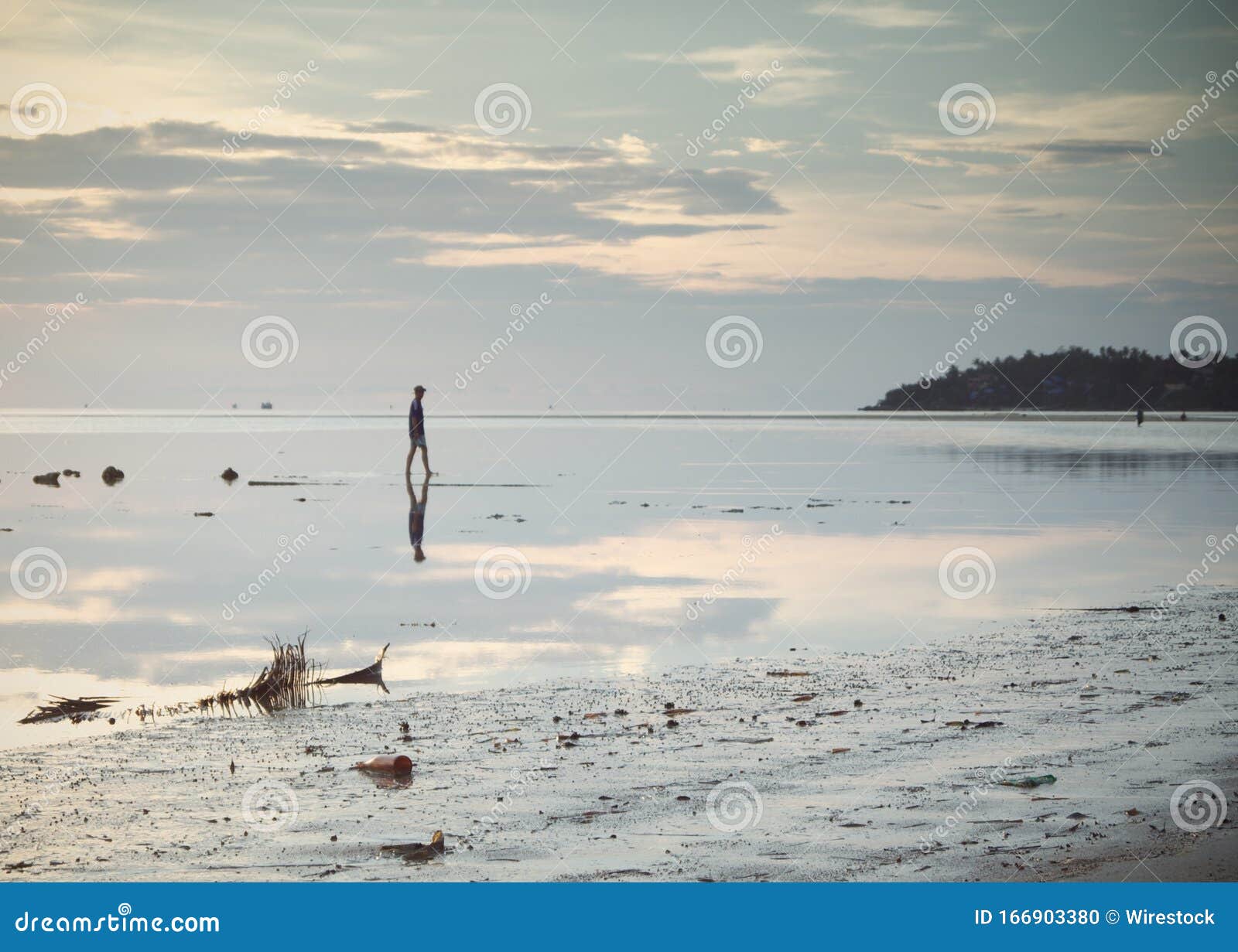 Landscape of the Beach Surrounded by the Sea with a Person Walking on ...